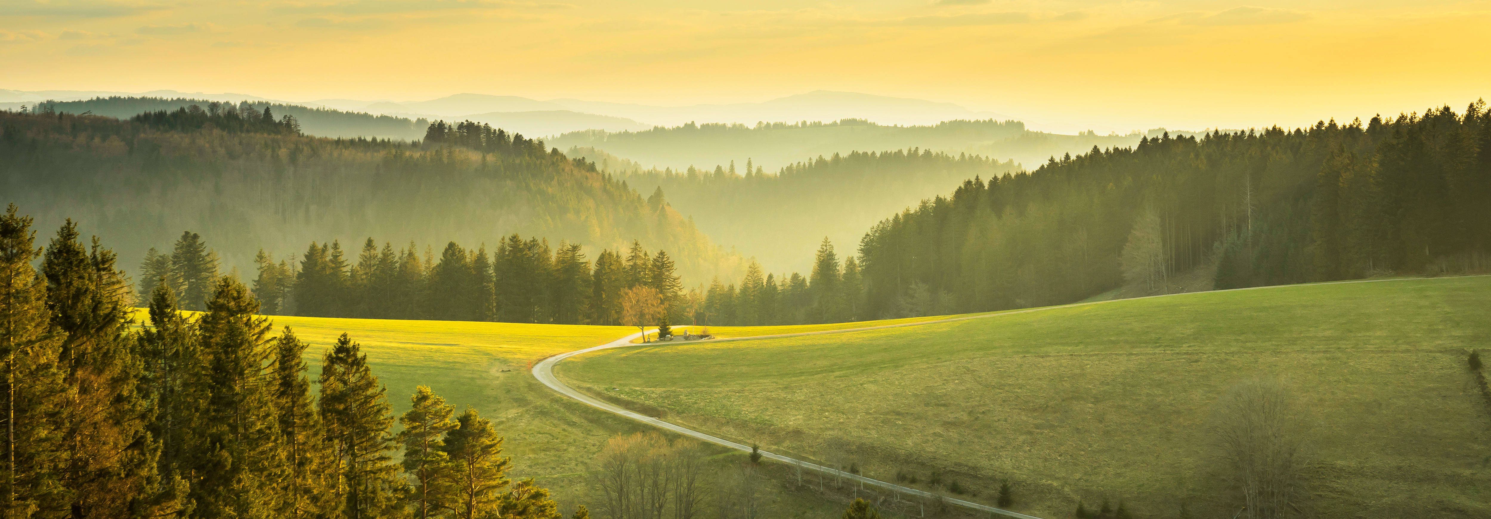 Viaggi Foresta Nera, Vacanze e Tour Foresta Nera | Viaggi di Boscolo